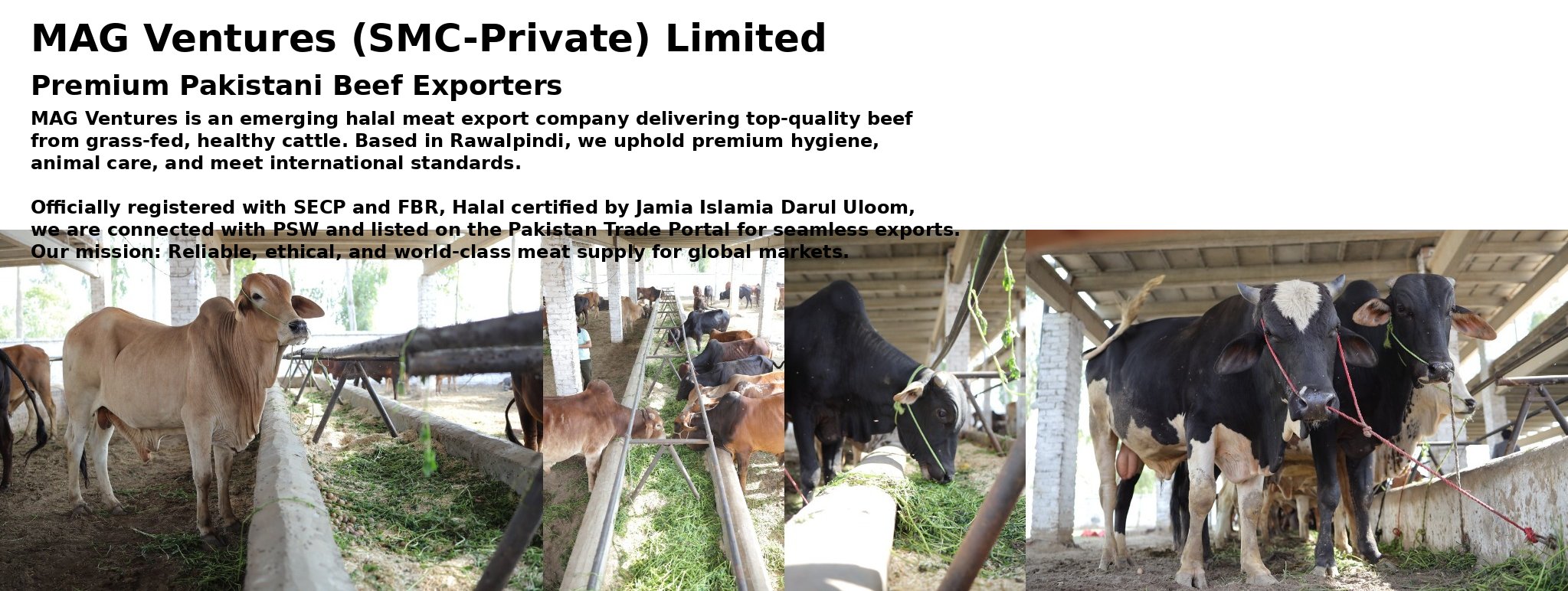 Meat & Poultry | MAG Ventures (SMC-Private) Limited | Company Profile ...