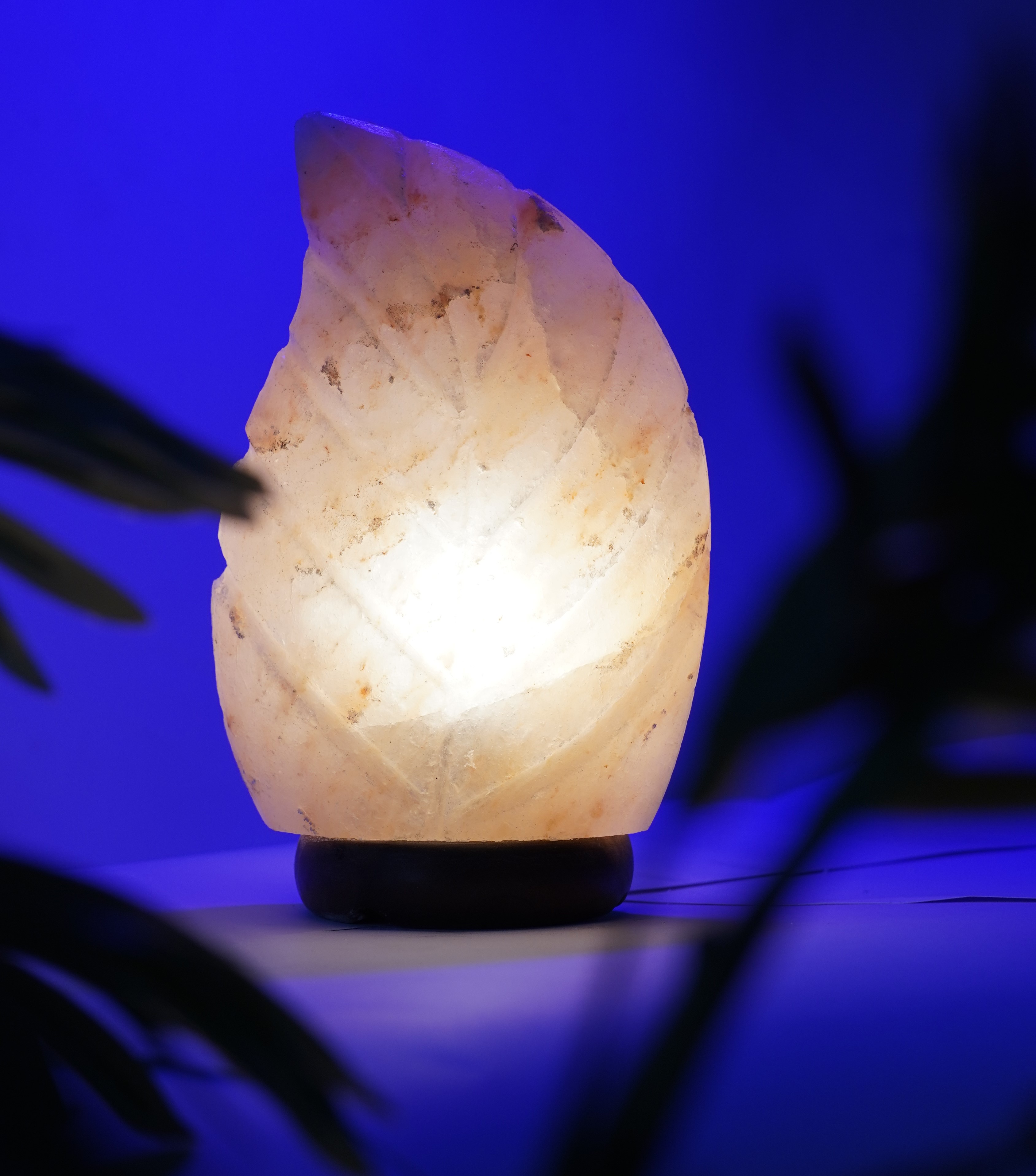 Himalayan Salt Lamps White Leaf Natural Crafted Leaf Shape Best For ...